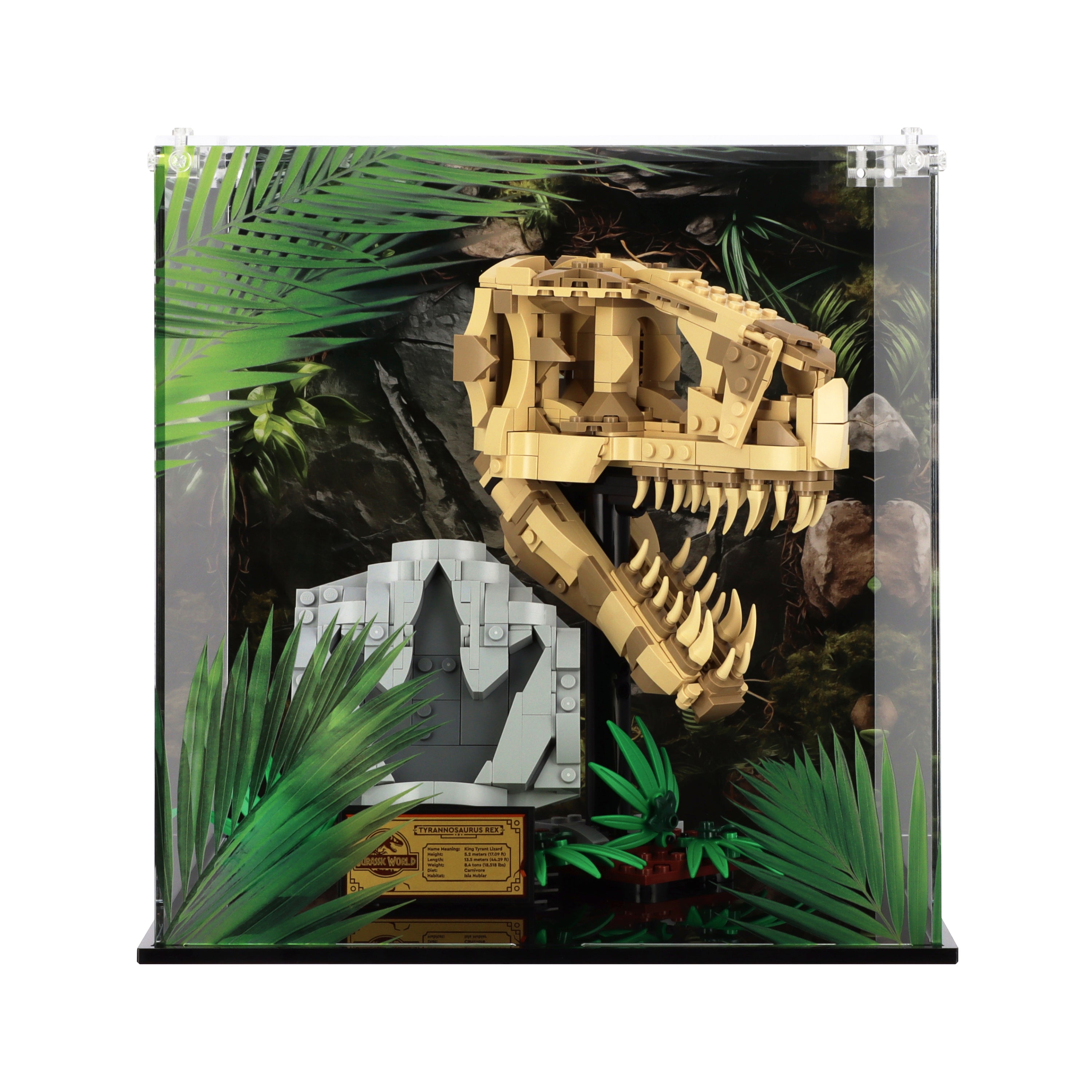 Lego 76964 Dinosaur Fossils: T. rex Skull - Display Case ...