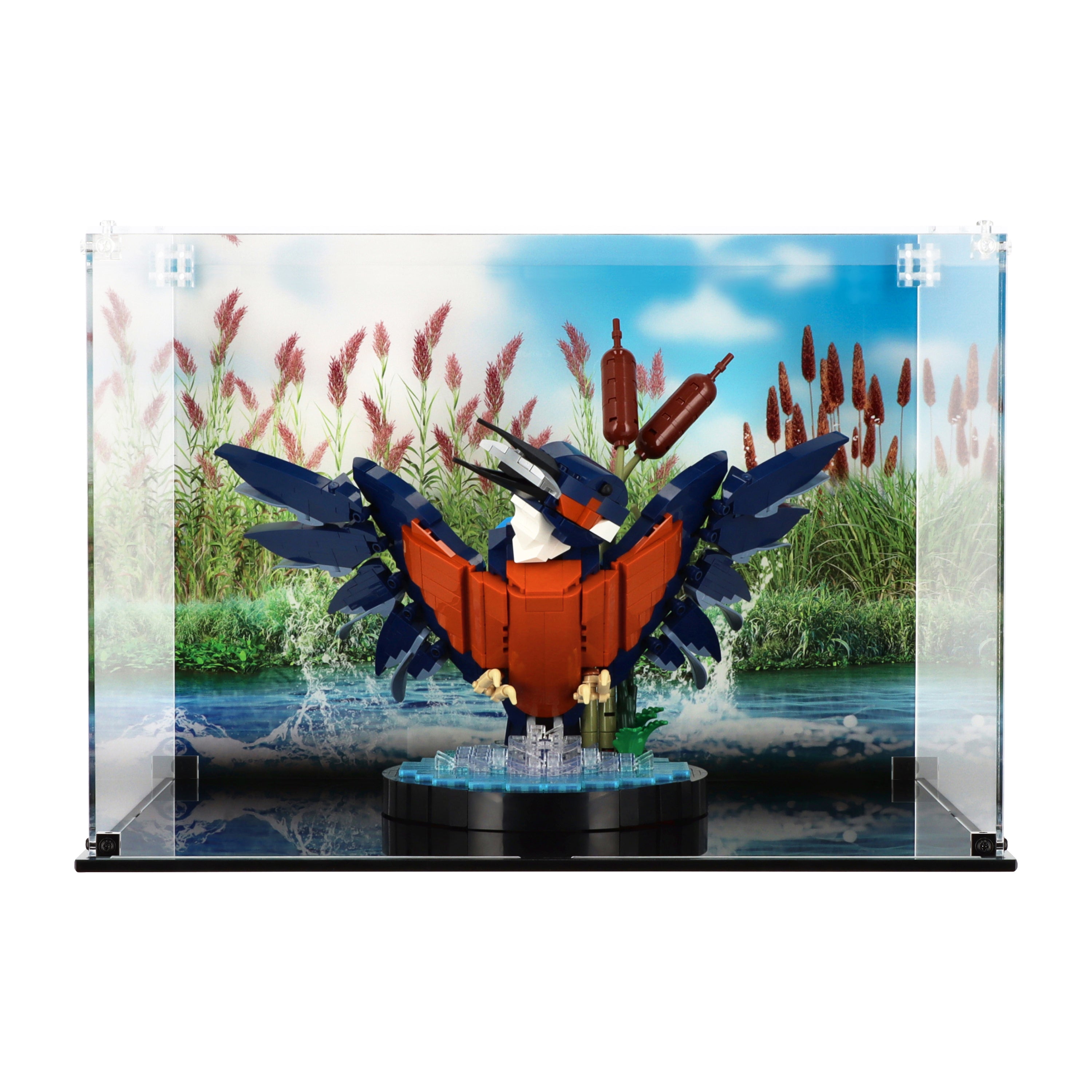 Lego 10331 Kingfisher Bird - Display Case – Uniquedisplay.co.uk