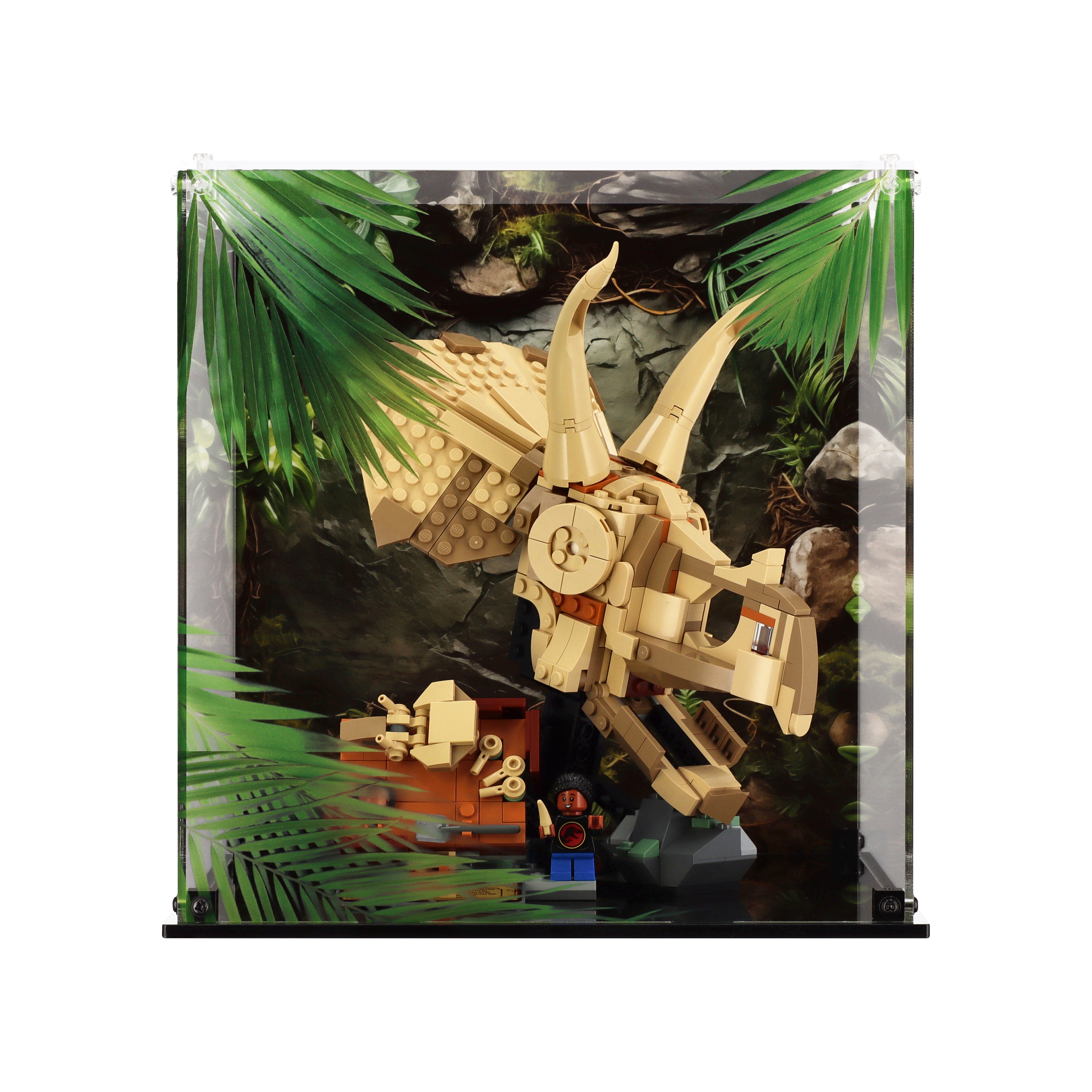 Lego 76969 Dinosaur Fossils: Triceratops Skull - Display Case ...